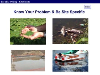 KRIA - Water Ionizer Pricing | PPT