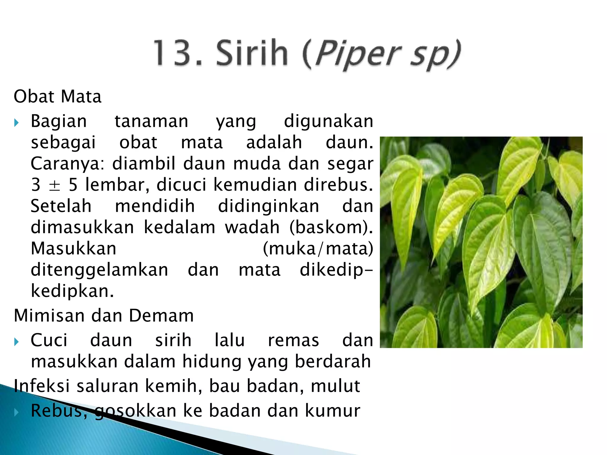 KRIDA BINA OBAT (toga).pptx