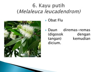 KRIDA BINA OBAT (toga).pptx