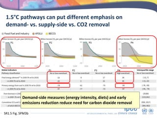 Chapter 2: Mitigation pathways - The 1.5°C Transition: Challenges and ...