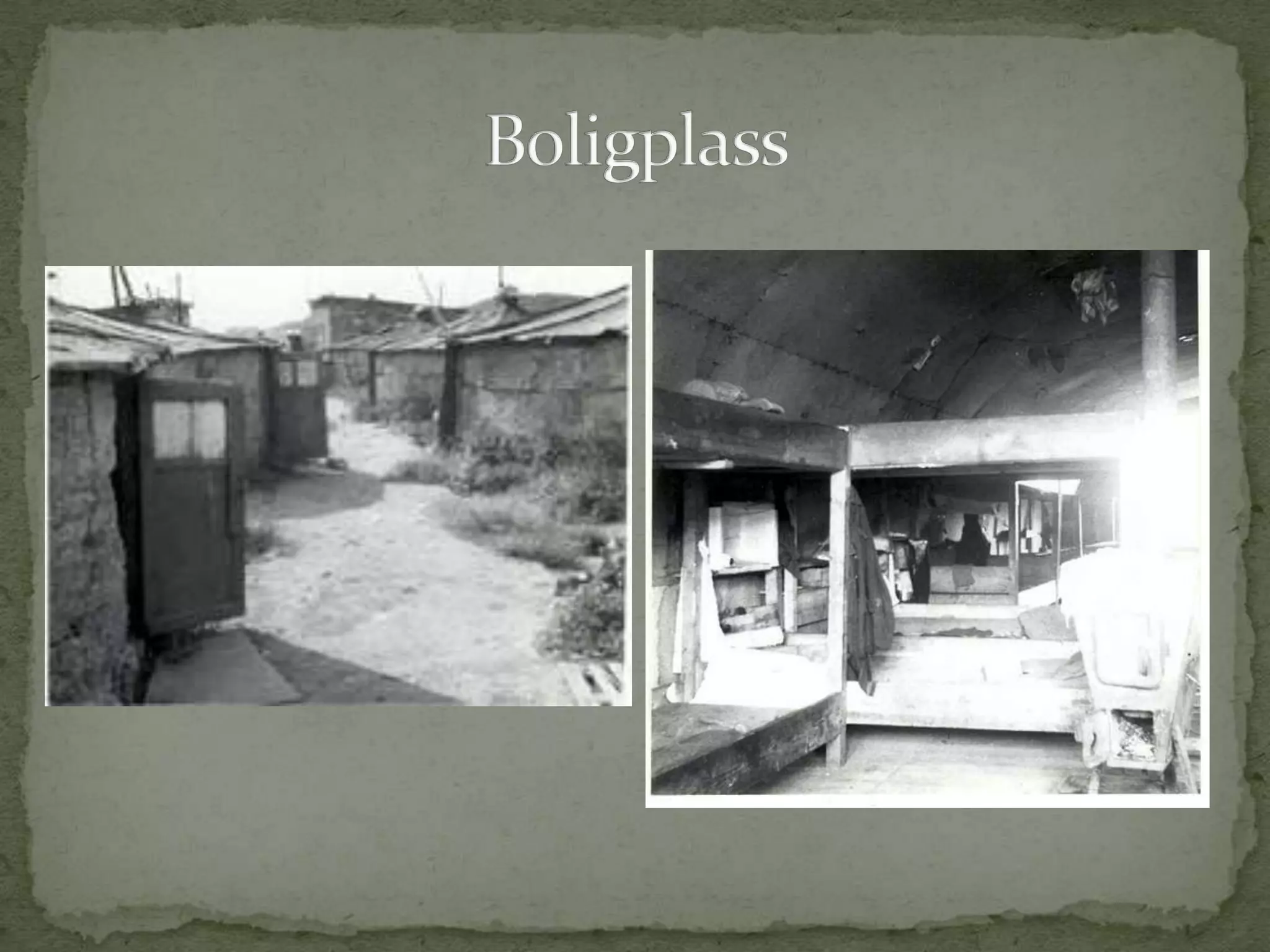 Krigen i bodø pauline, sandra, malena | PPT