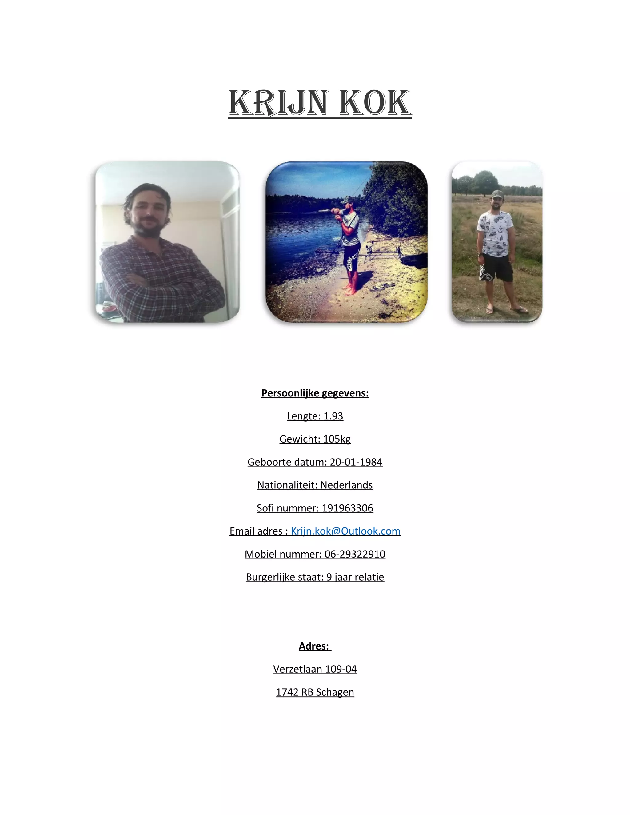 Krijn kok cv 1 | DOC