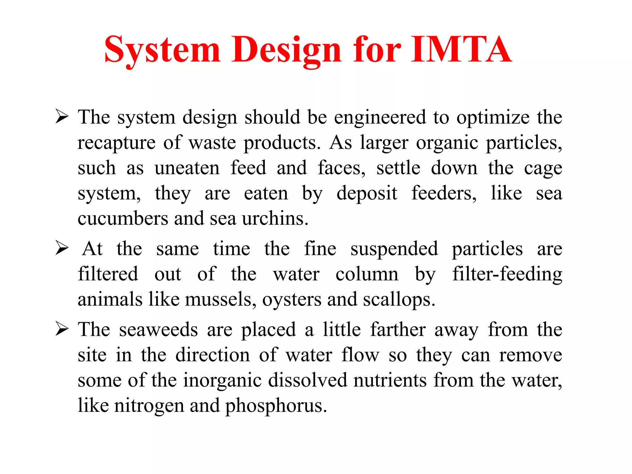INTEGRATED MULTI TROPHIC AQUACULTURE (IMTA) | PPTX