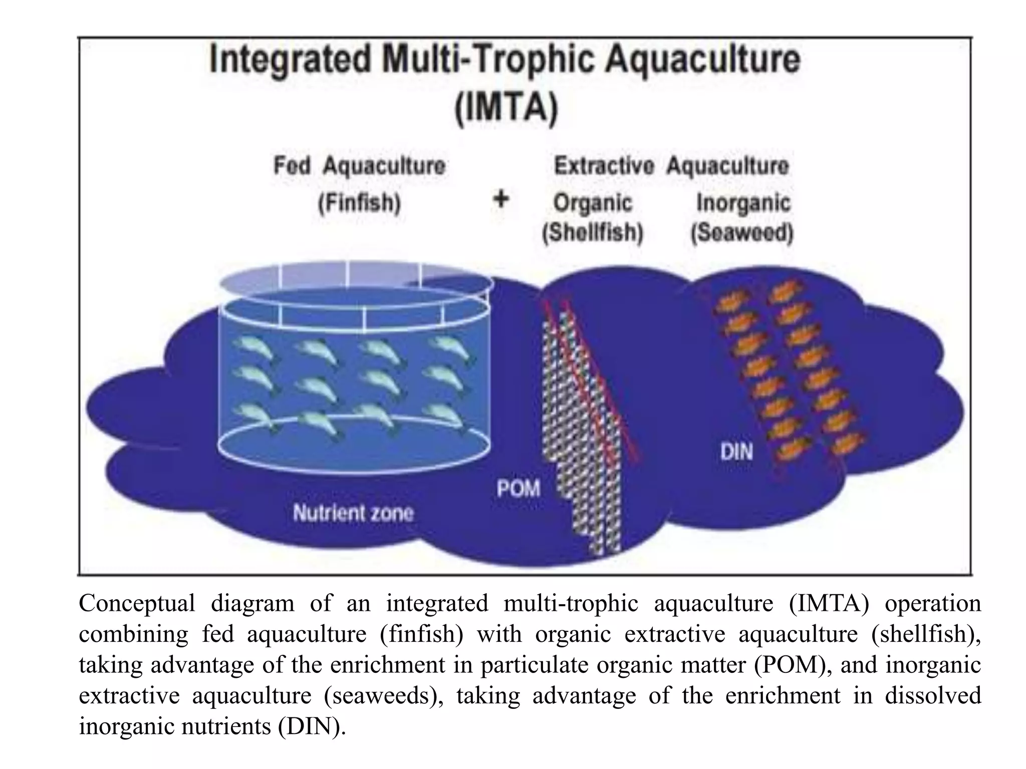 INTEGRATED MULTI TROPHIC AQUACULTURE (IMTA) | PPTX