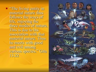 Krishna And The Jivas | PPT