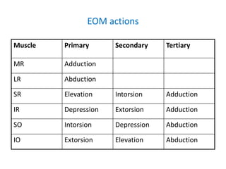 Introduction to BSV, Space perception and physiology of ocular ...
