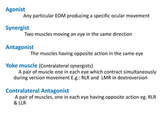 Introduction to BSV, Space perception and physiology of ocular ...