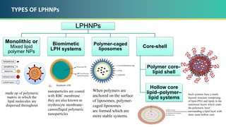 Lipid Polymer Hybrid Nanoparticles | PPTX
