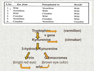 BIOCHEMICAL MUTATION/GENETICS | PPTX