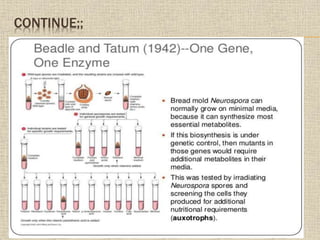 BIOCHEMICAL MUTATION/GENETICS | PPTX