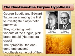 BIOCHEMICAL MUTATION/GENETICS | PPTX