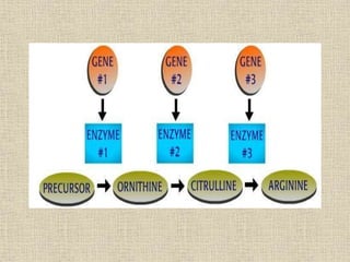 BIOCHEMICAL MUTATION/GENETICS | PPTX