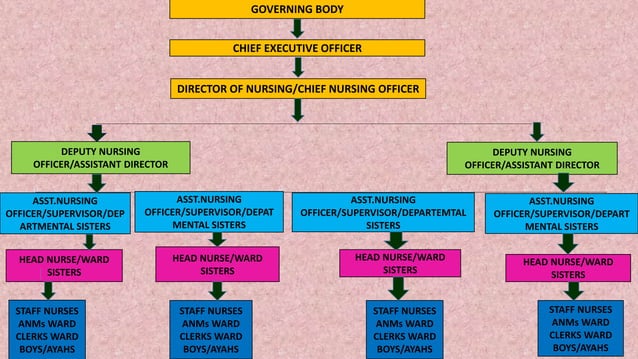 organization and functions of nursing services presentation | PPTX ...