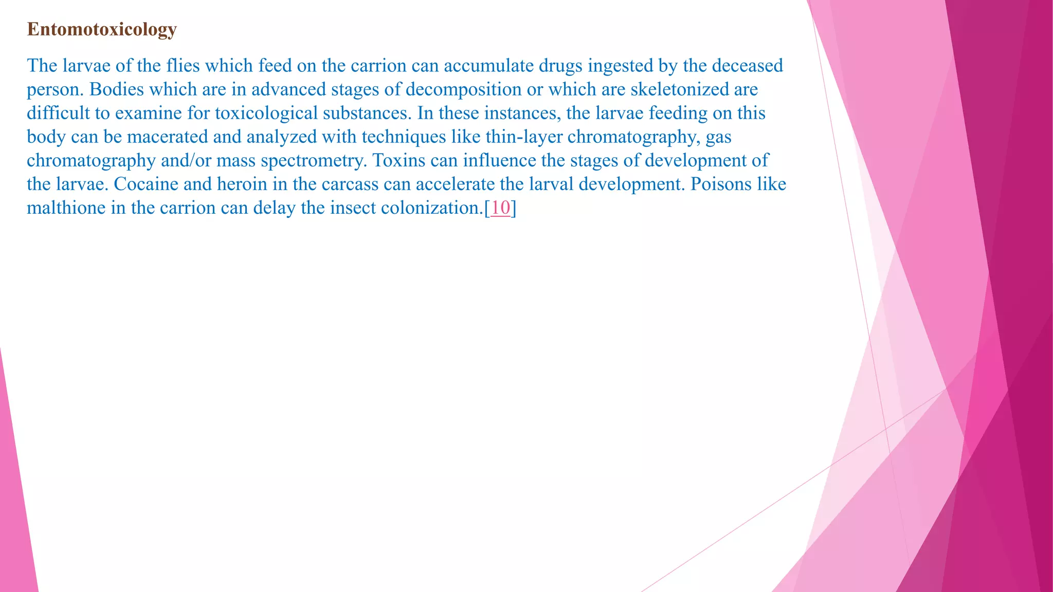 insect morphology in forensic entomology with suitable examples | PPTX