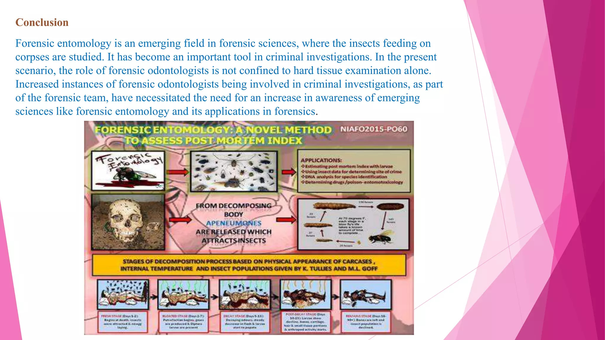 insect morphology in forensic entomology with suitable examples | PPTX