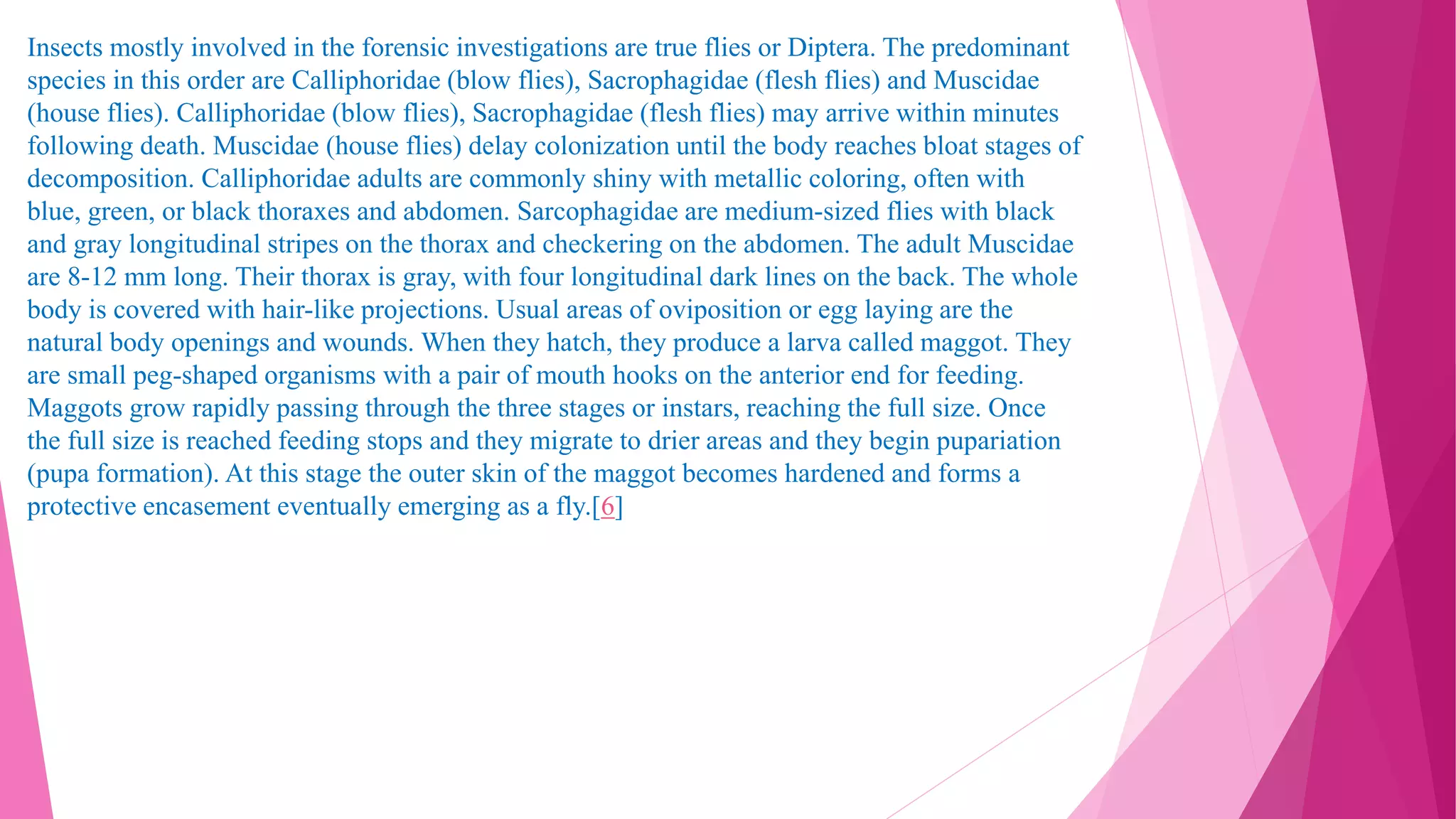 insect morphology in forensic entomology with suitable examples | PPTX