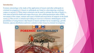 insect morphology in forensic entomology with suitable examples | PPTX