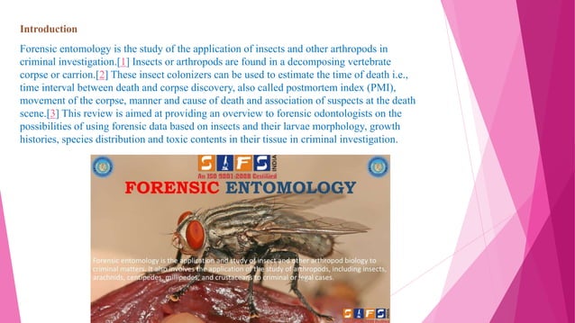 insect morphology in forensic entomology with suitable examples | PPTX