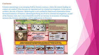 insect morphology in forensic entomology with suitable examples | PPTX