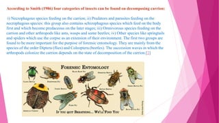 insect morphology in forensic entomology with suitable examples | PPTX
