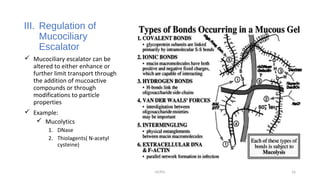 Pulmonary/ lung drug Delivery Sytem | PPT