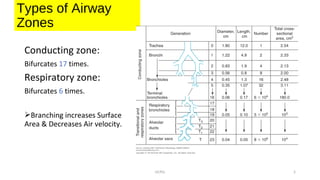 Pulmonary/ lung drug Delivery Sytem | PPT