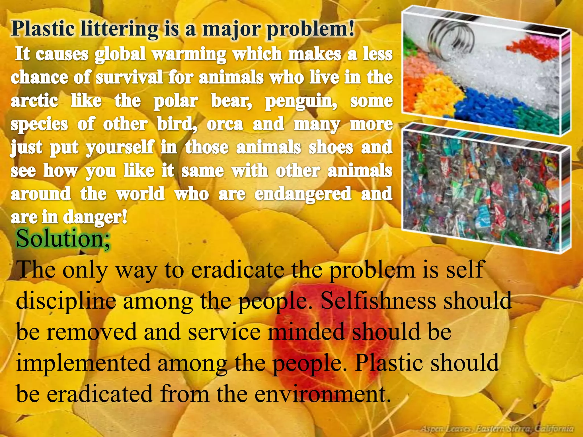World's Biggest Problems | PPT