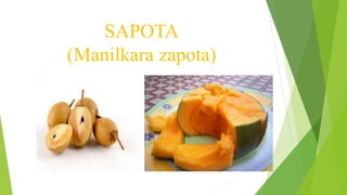 CULTIVATION OF APPLE AND SAPOTA IN INDIA | PPTX