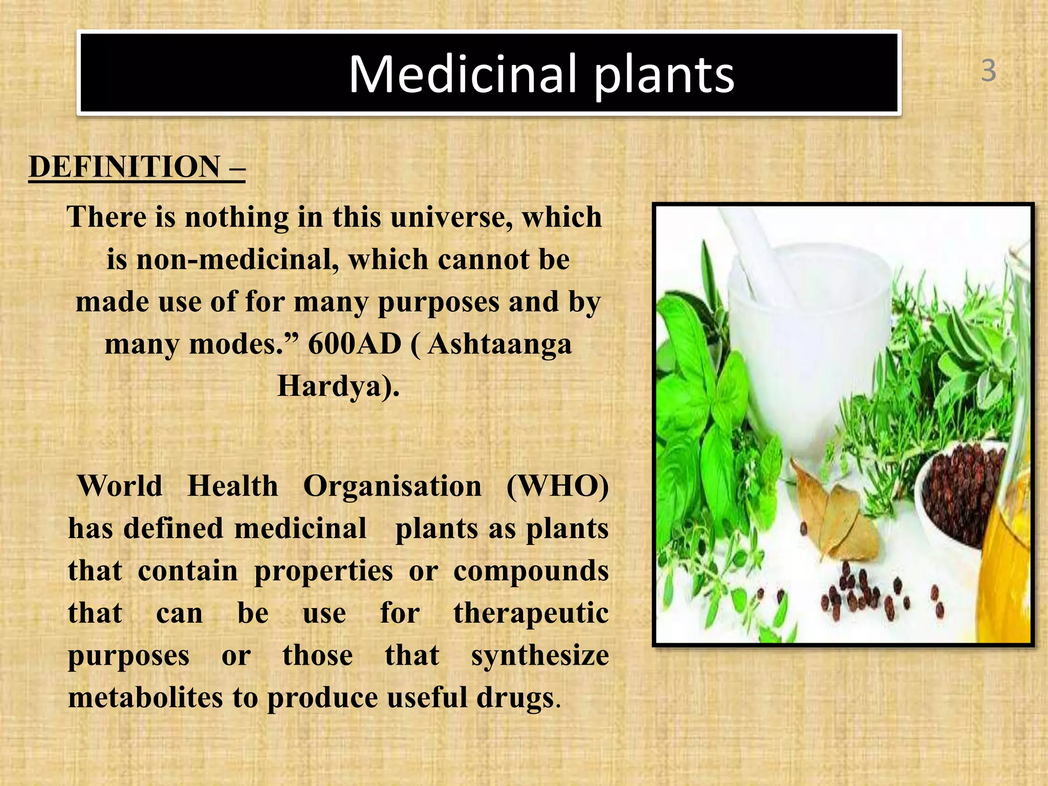 Application of Bioinoculants in medicinal plants to enhance the growth ...