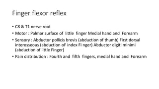 Ppt file for medical students file for college | PPT