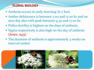 CROP IMPROVEMENT IN ONION (Allium cepa L.) | PPTX