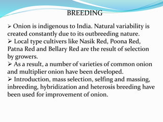 CROP IMPROVEMENT IN ONION (Allium cepa L.) | PPTX