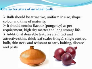CROP IMPROVEMENT IN ONION (Allium cepa L.) | PPTX