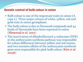 CROP IMPROVEMENT IN ONION (Allium cepa L.) | PPTX