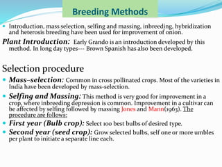 CROP IMPROVEMENT IN ONION (Allium cepa L.) | PPTX