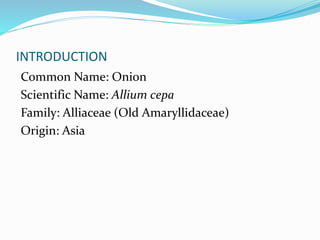 CROP IMPROVEMENT IN ONION (Allium cepa L.) | PPTX