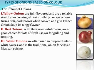 CROP IMPROVEMENT IN ONION (Allium cepa L.) | PPTX