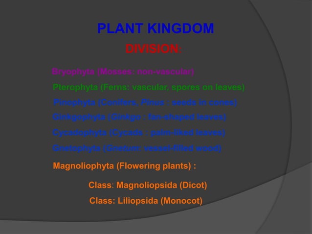 Introduction to Taxonomy, Components and Major Plant Taxonomist | PPTX ...