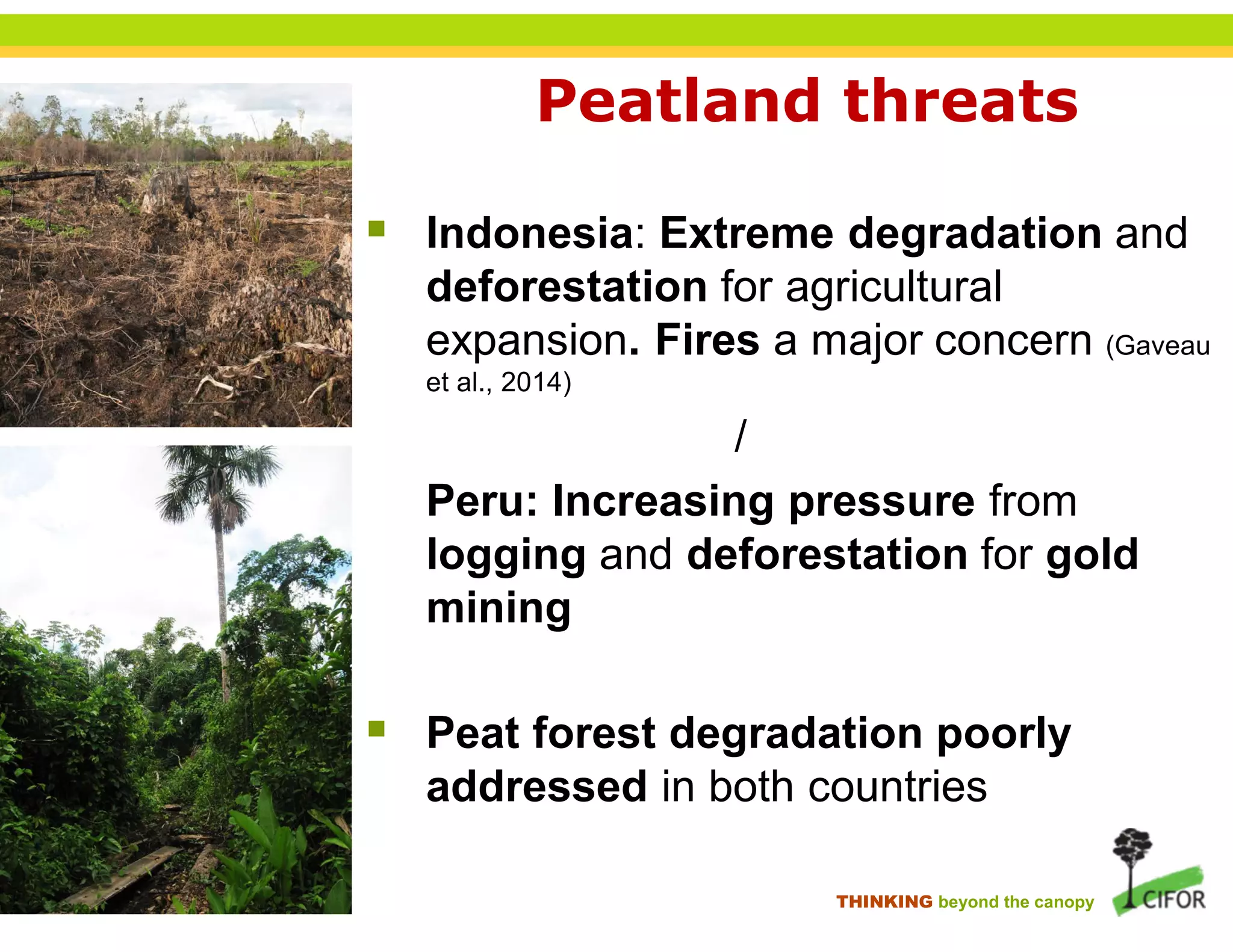 Peat swamp forest degradation: A comparison between Indonesia and Peru ...