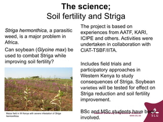 Integrated soil fertility management systems and Striga in Western ...