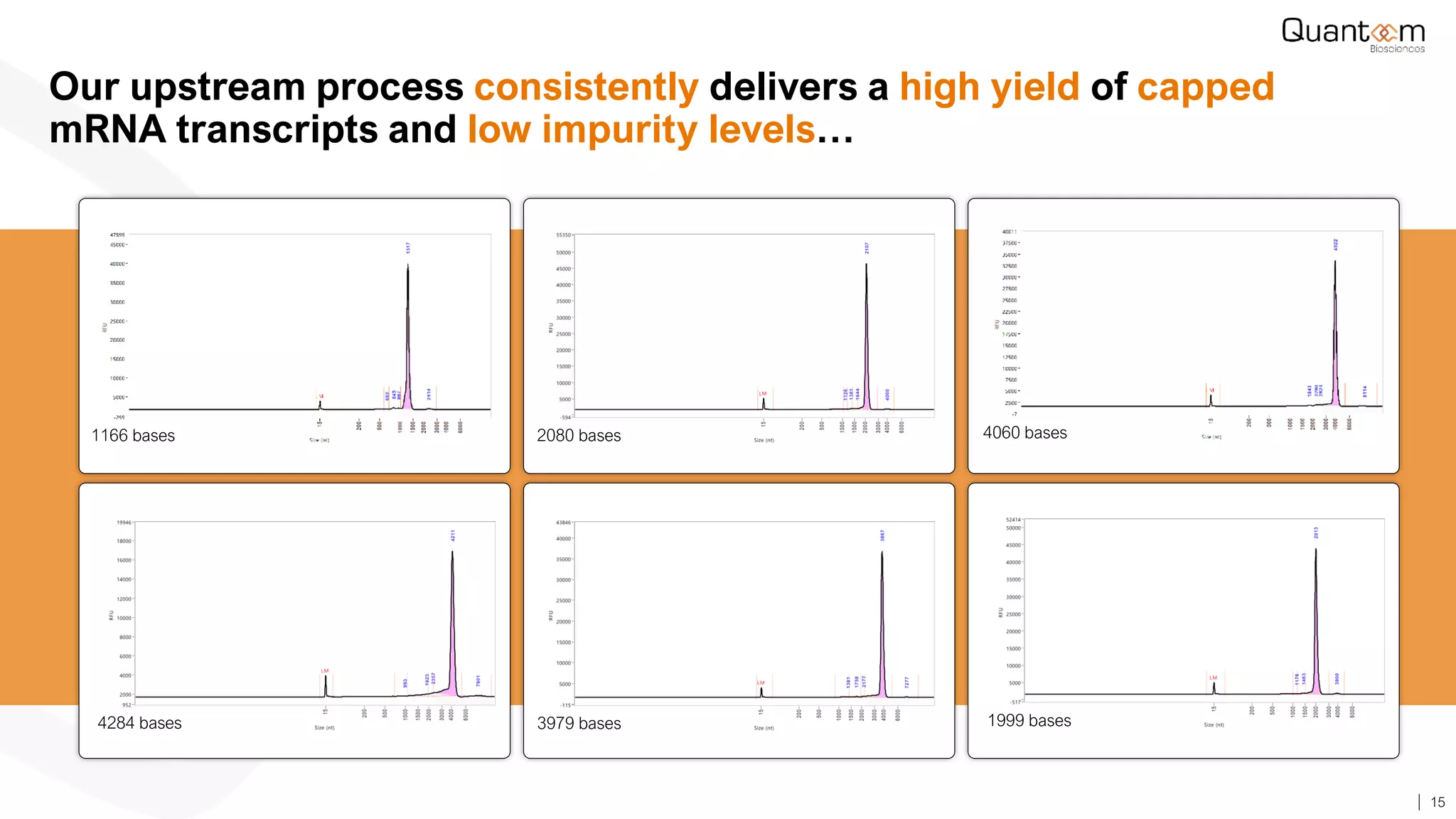 COMPACT mRNA PRODUCTION THROUGH PROCESS INTENSIFICATION AND INNOVATION ...