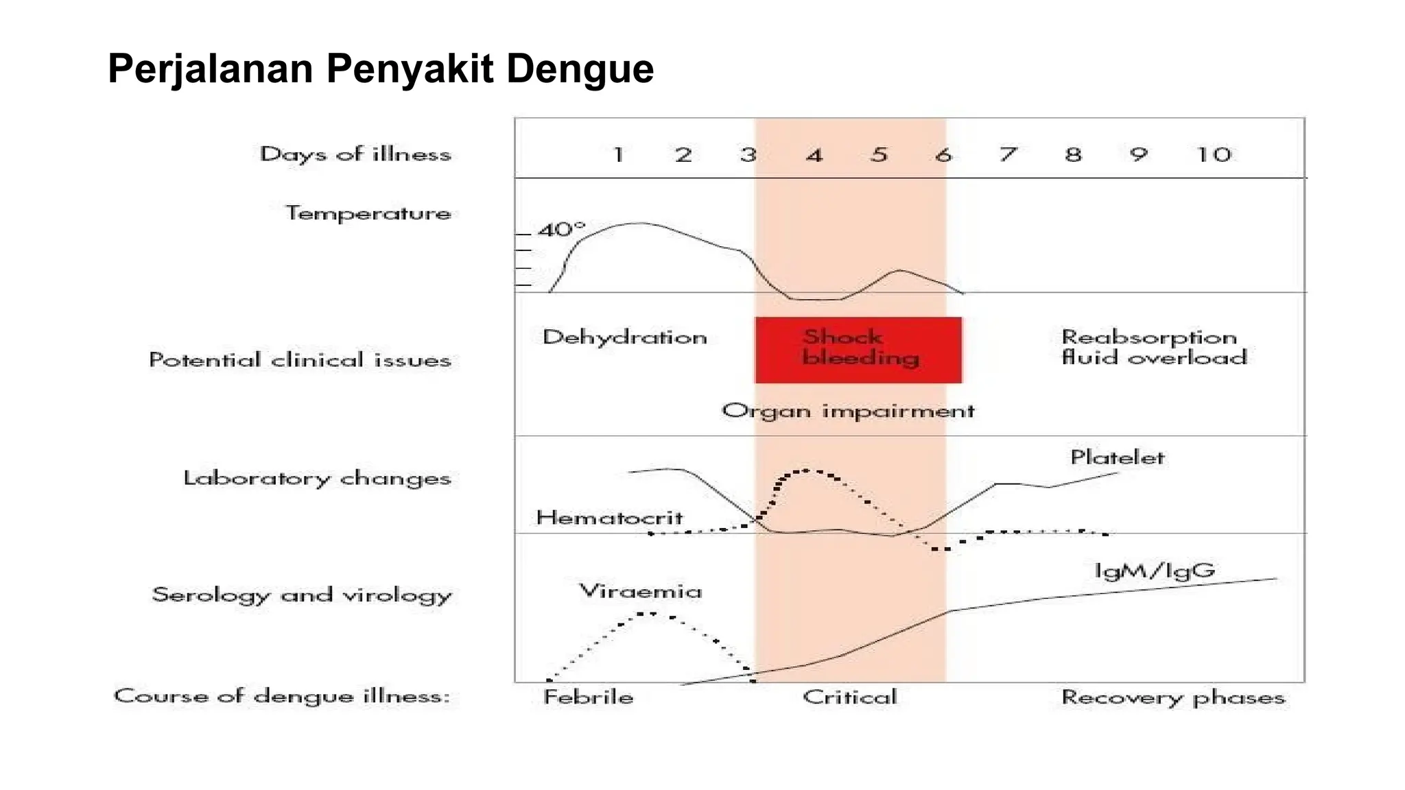 Kriteria Diagnosa Infeksi Dengue PNPK.pptx