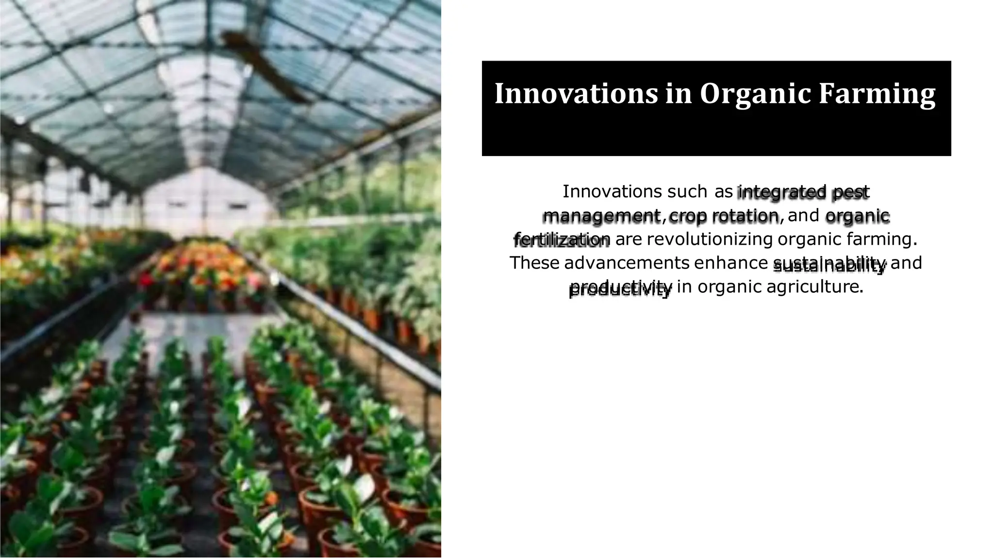 Organic farming advantages importance.pptx