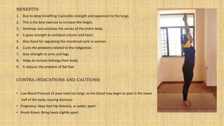 YOGA ASANAS | PPTX