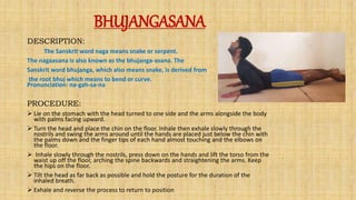 YOGA ASANAS | PPTX