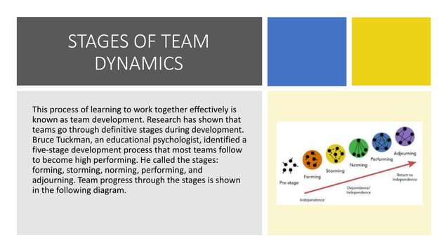 Individual and team dynamics. | PPTX | Executive Leadership ...