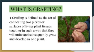Grafting | PPTX