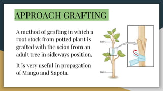 Grafting | PPTX