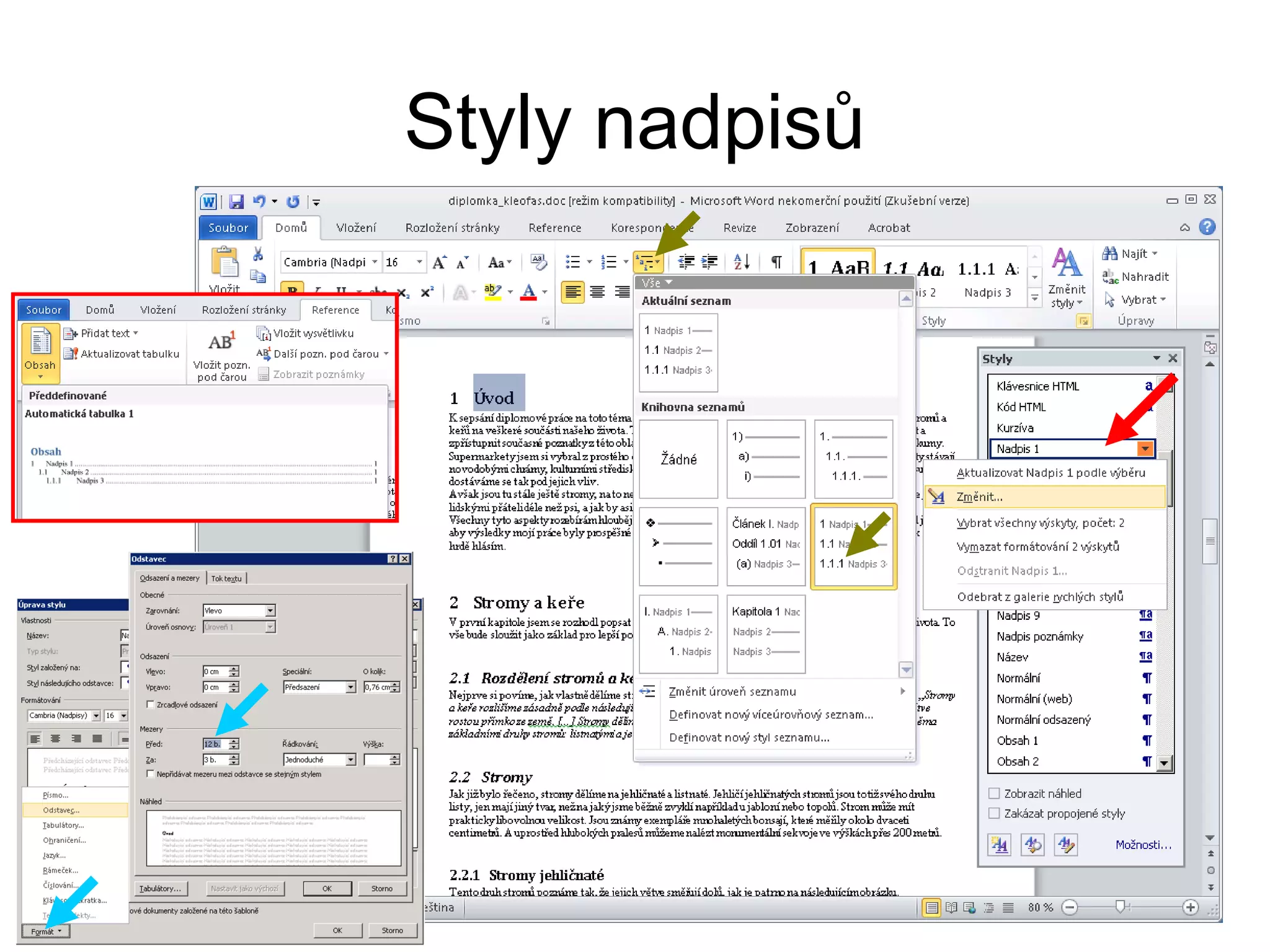 MS Word “diplomka” | PPT