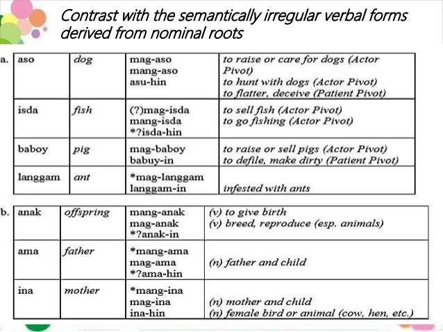 Nouns and Verbs in Tagalog: a reply to Foley